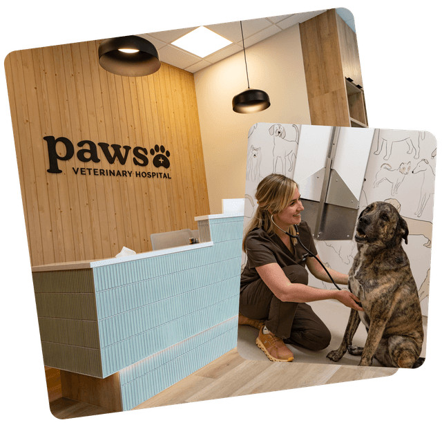 Paws Veterinary Hospital